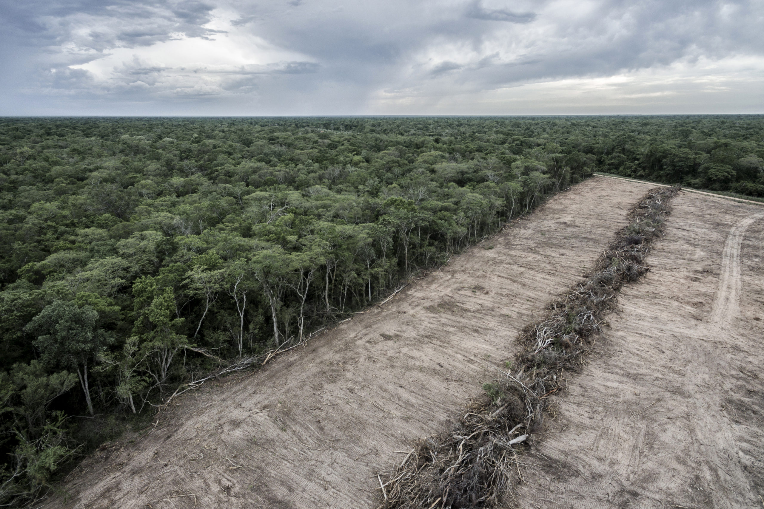 Cooperating on anti-deforestation regulation in Brazil & the EU